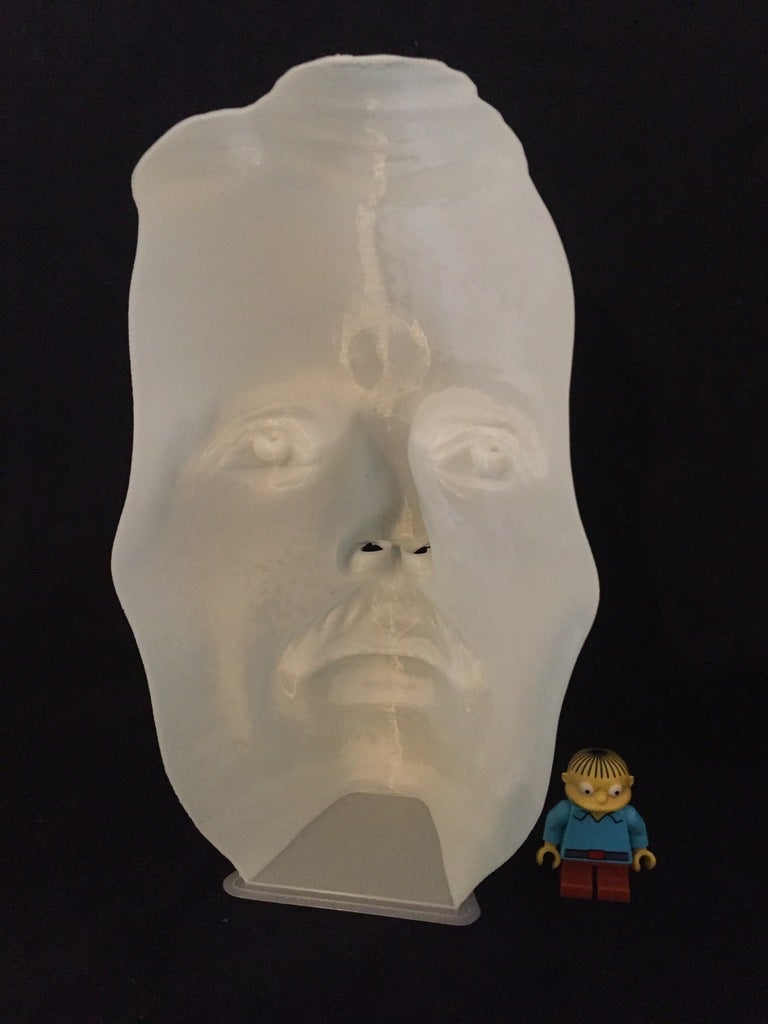 The Vase Face - Hollow Face Illusion - Tesla / Einstein by Maeshmaker ...