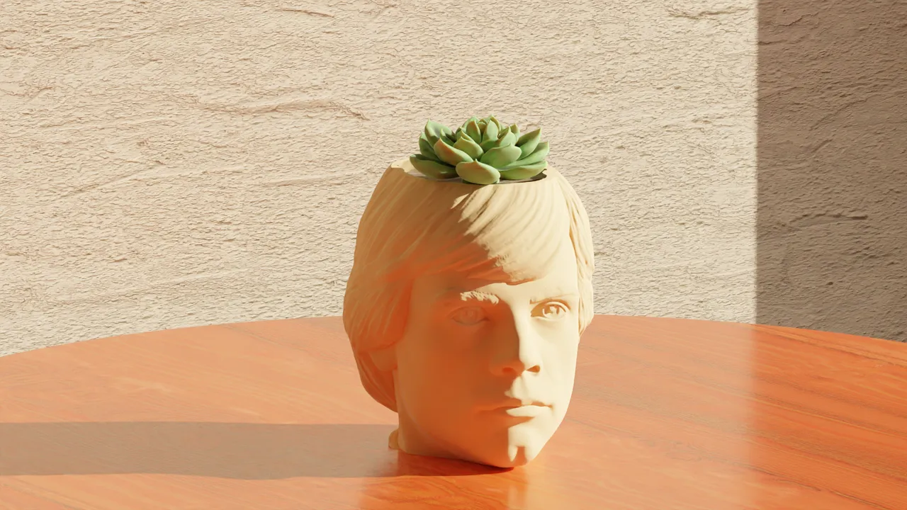Luke Skywalker - Star Wars Pot Plant by CalebTimoteo | Download free ...