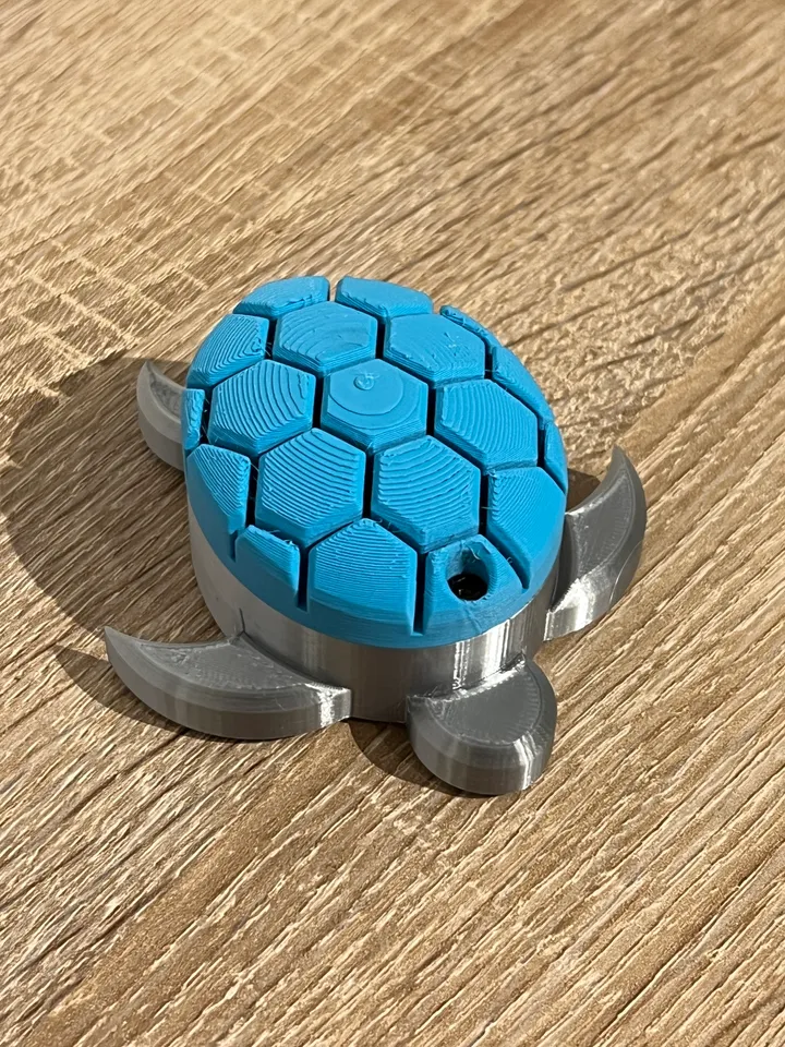 Sea Turtle With A Secret Box by TorusKnot | Download free STL model ...