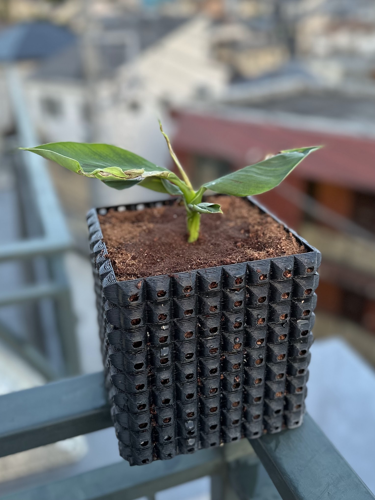 Massive Root Growth Air Pruning Pot by CodeName X | Download free STL ...