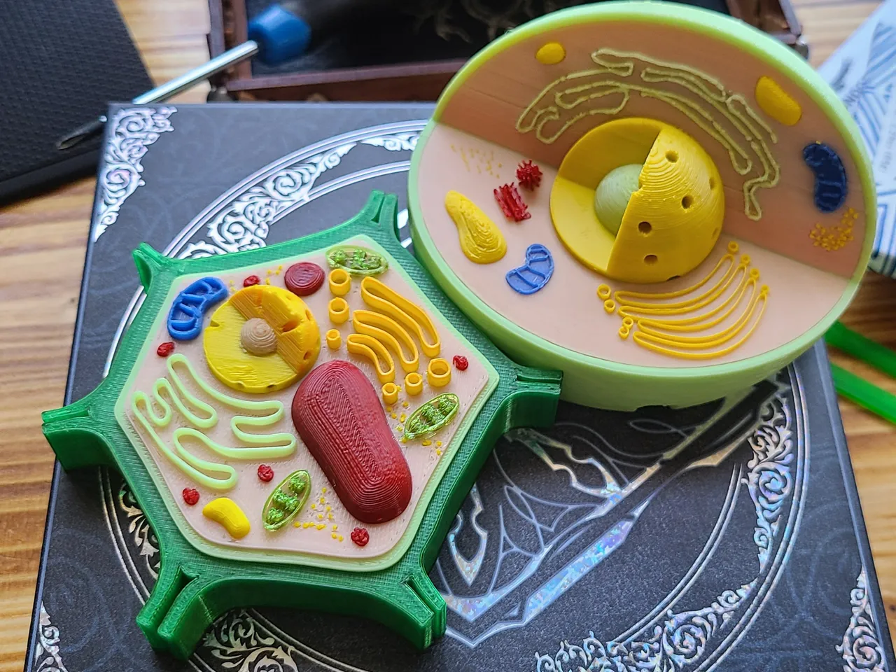 3d Plants Cells Model