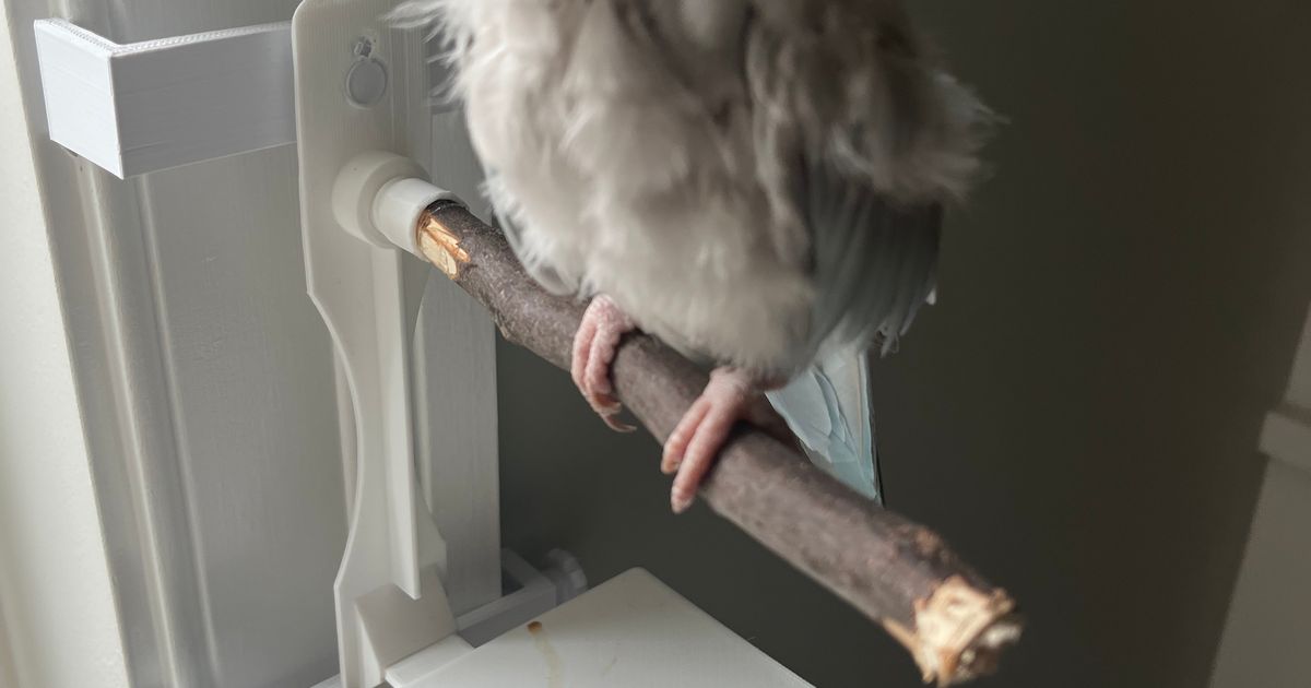 Bird Perch With Poop Tray by iliketo3dprintthings | Download free STL ...