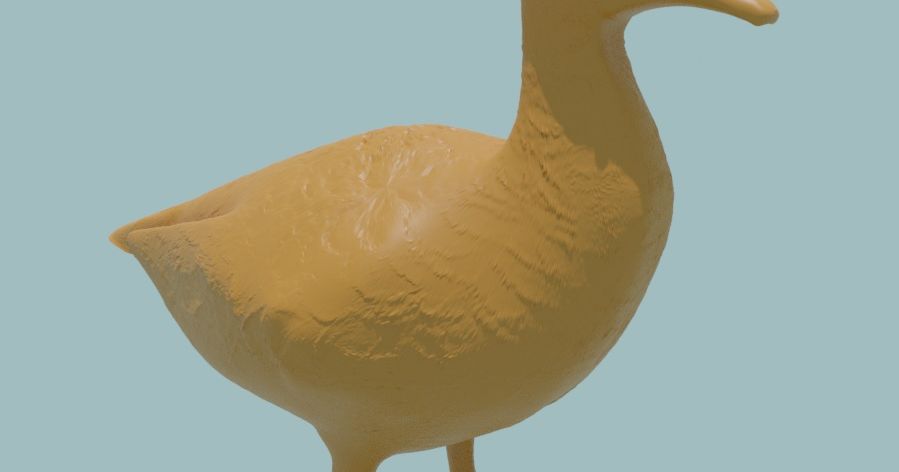 Muscovy duck by Gious | Download free STL model | Printables.com