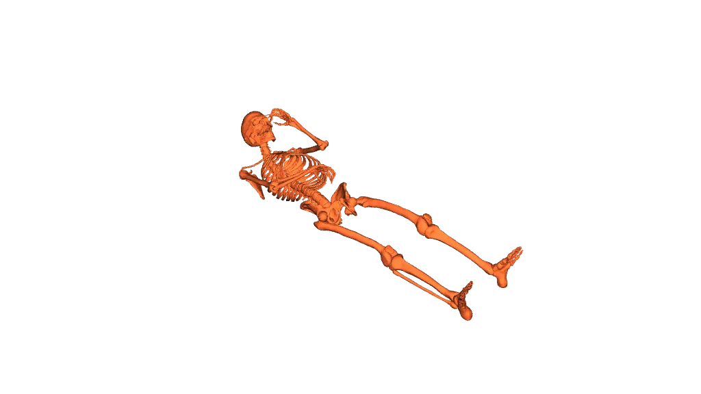 skeleton pandering by Samuel Perkiö | Download free STL model ...
