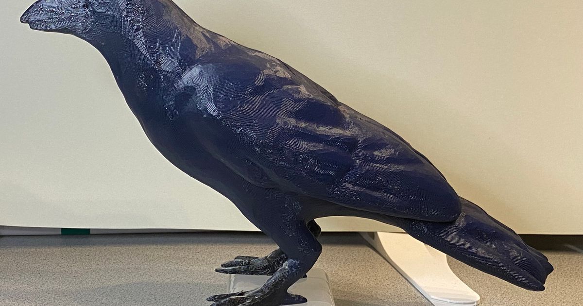 Scare Crow - Raven - Vogelscheuche - Rabe par Tritschi | Téléchargez ...