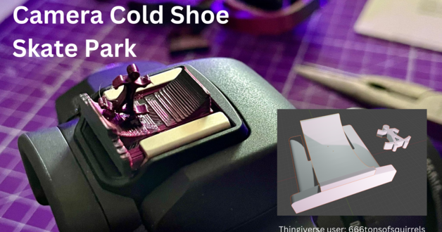 Cold Shoe Skate Park by 666tonsofsquirrels | Download free STL model ...