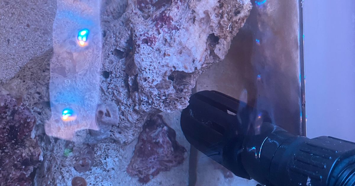 Fluval FX4 Short Intake Strainer by coltsreef | Download free STL model ...