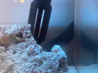 Fluval FX4 Short Intake Strainer by coltsreef | Download free STL model ...