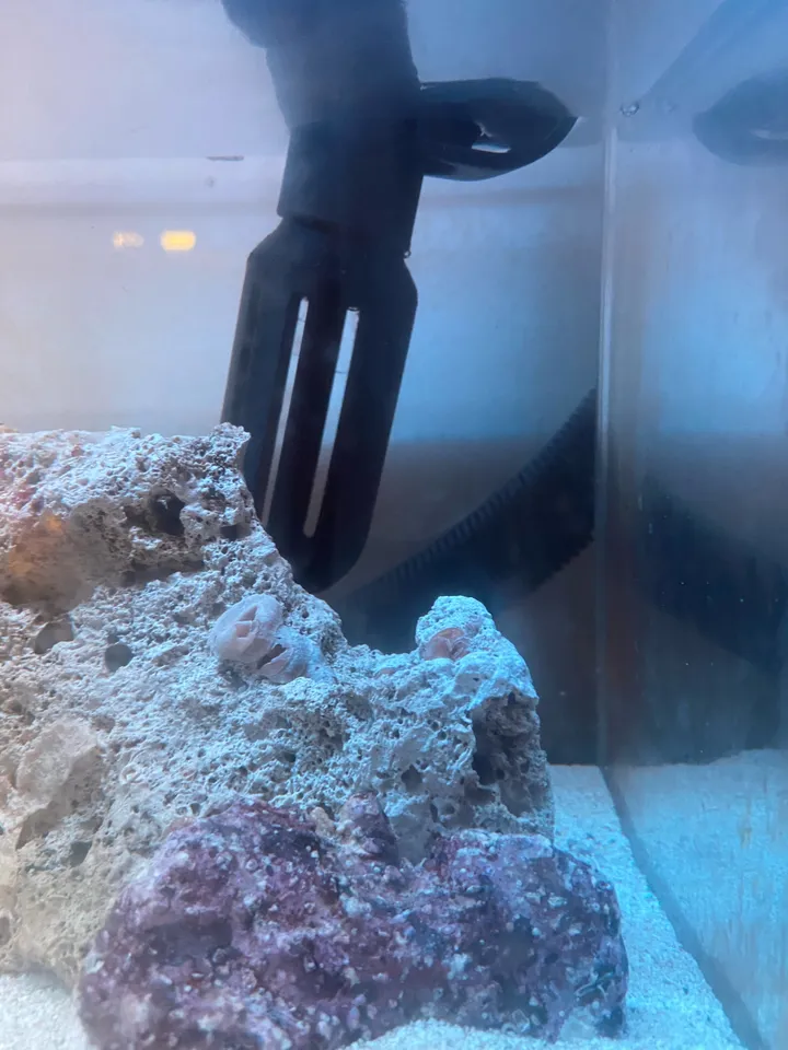 Fluval FX4 Short Intake Strainer by coltsreef | Download free STL model ...