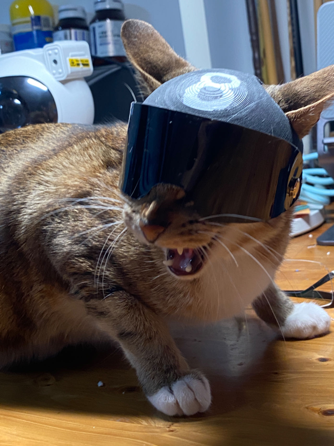 Cat Helmet by Crazy Creo | Download free STL model | Printables.com