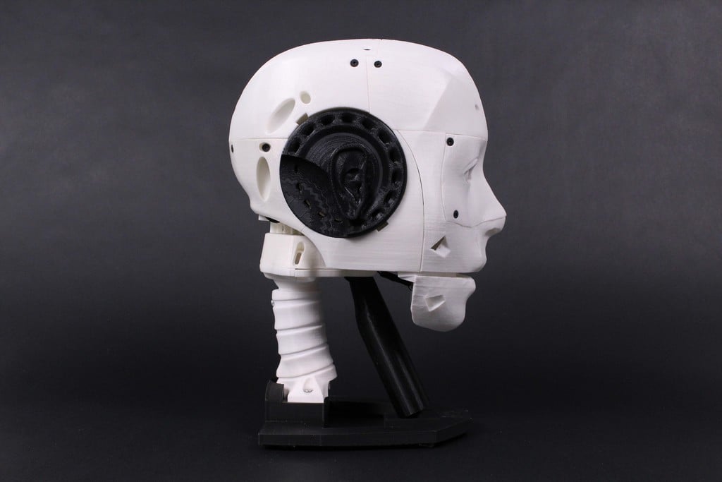 EZ-inMoov Robot Head by EZ-Robot | Download free STL model | Printables.com