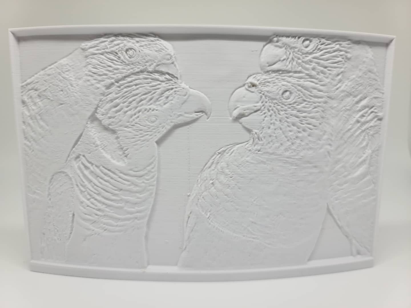 Rainbow Lorikeet Color Lithophane by RMECU311 | Download free STL model ...