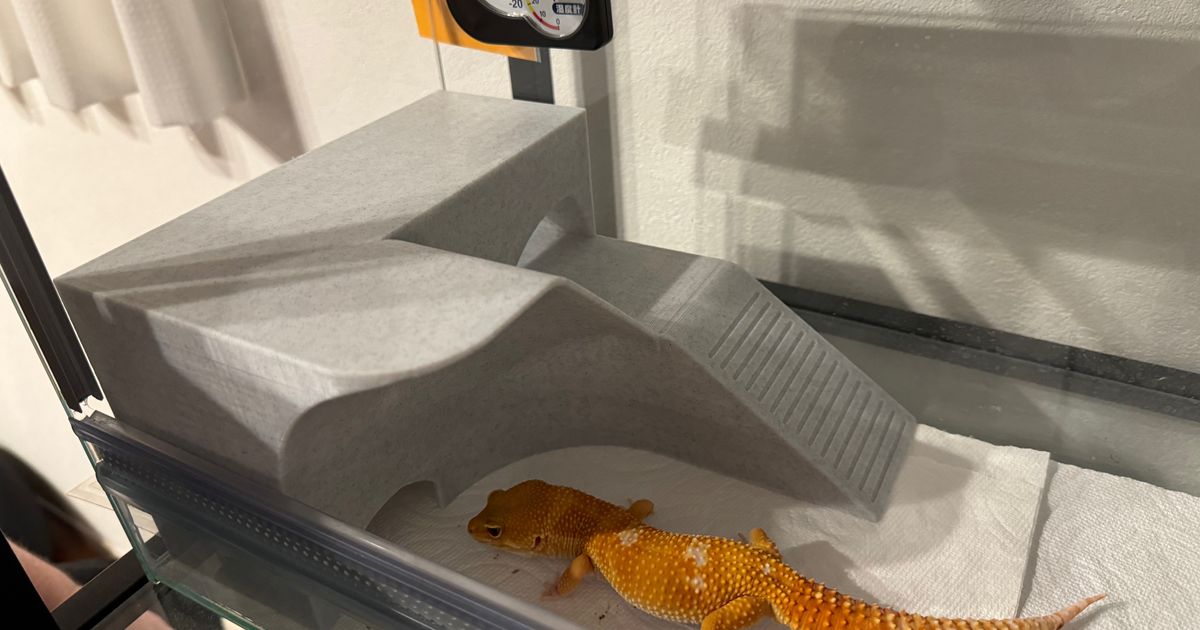 Leopard Gecko House (Designed to fit in GEX EXOTERRA 400Slim Cage) par ...