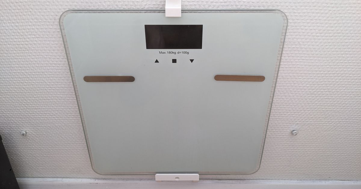 Holder for scale by Lean 3D | Download free STL model | Printables.com