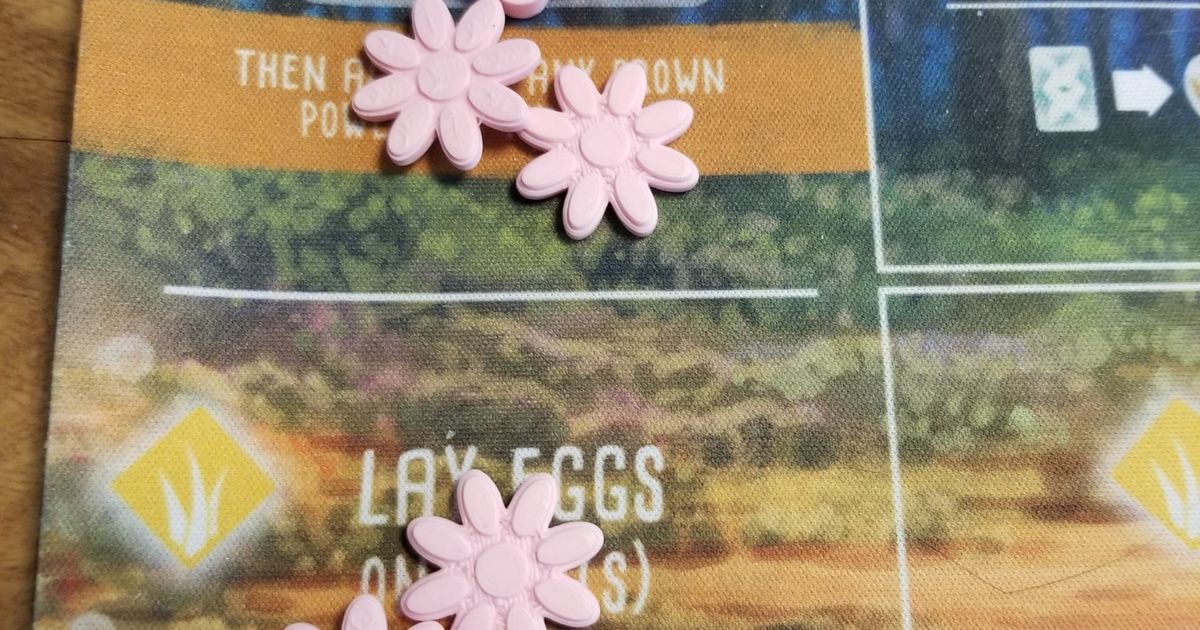 Wingspan 5x Food Token by Bill | Download free STL model | Printables.com