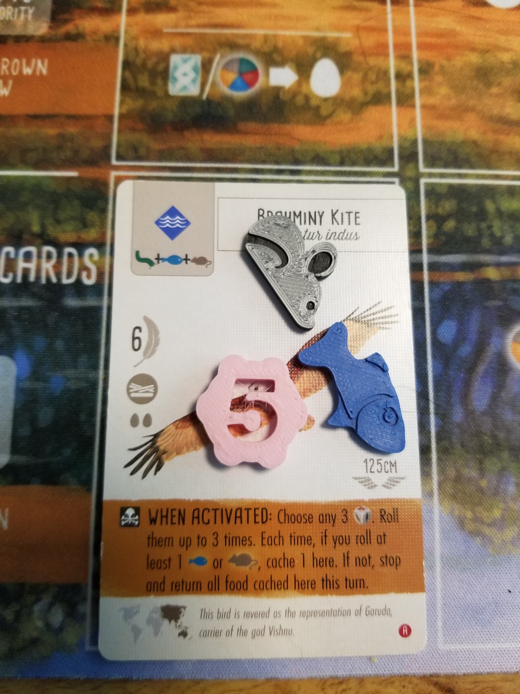 Wingspan 5x Food Token by Bill | Download free STL model | Printables.com