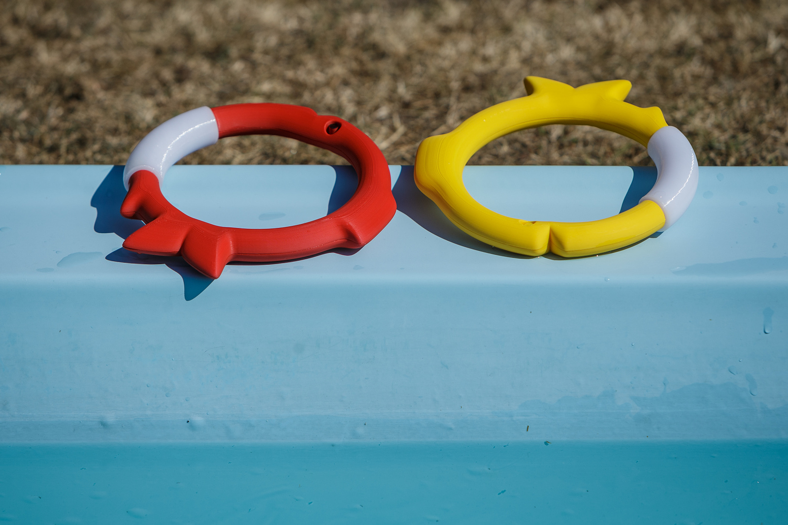 Pool diving toy by Martin | Download free STL model | Printables.com