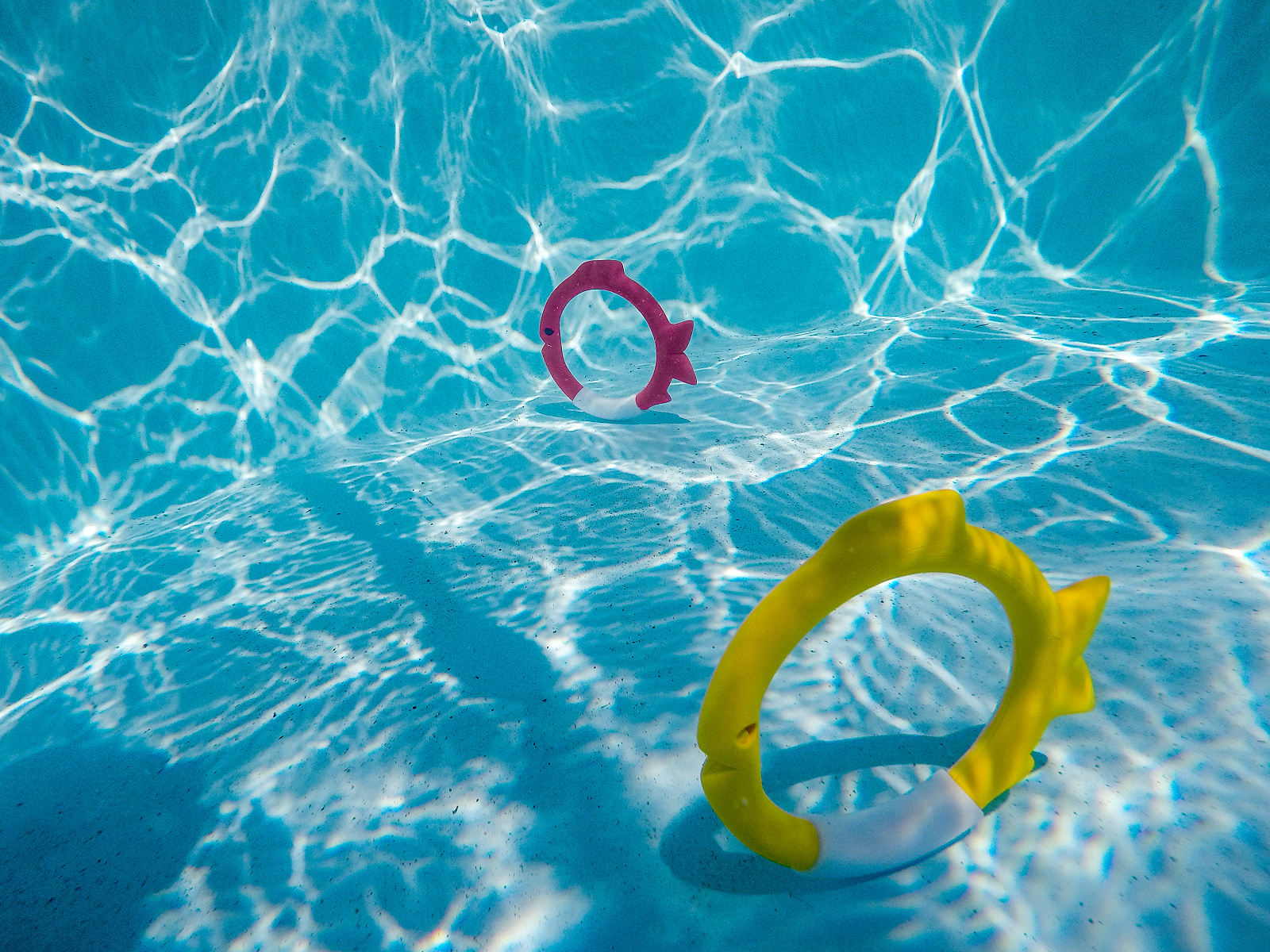Pool diving toy by Martin | Download free STL model | Printables.com