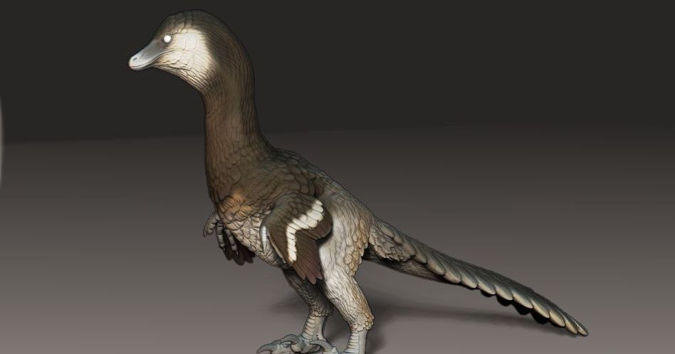 Halzskaraptor Figurine by DragonArtist15 | Download free STL model ...
