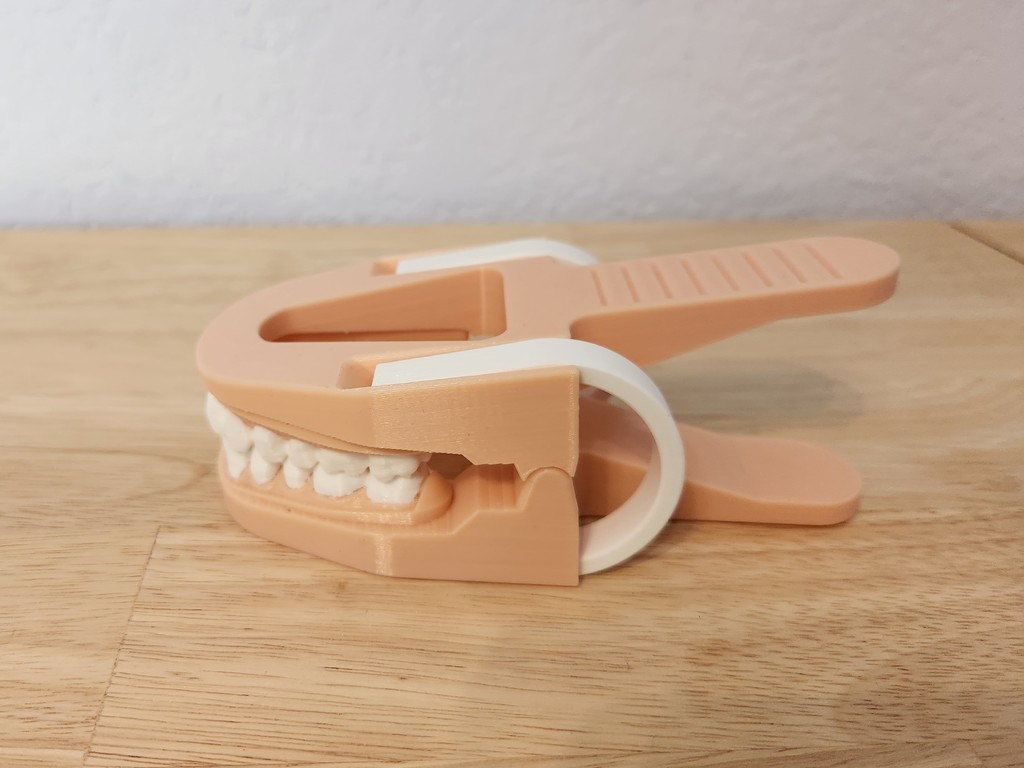 Mouth Chip Clip from 3D Scan of Teeth by sj3Dprints | Download free STL ...