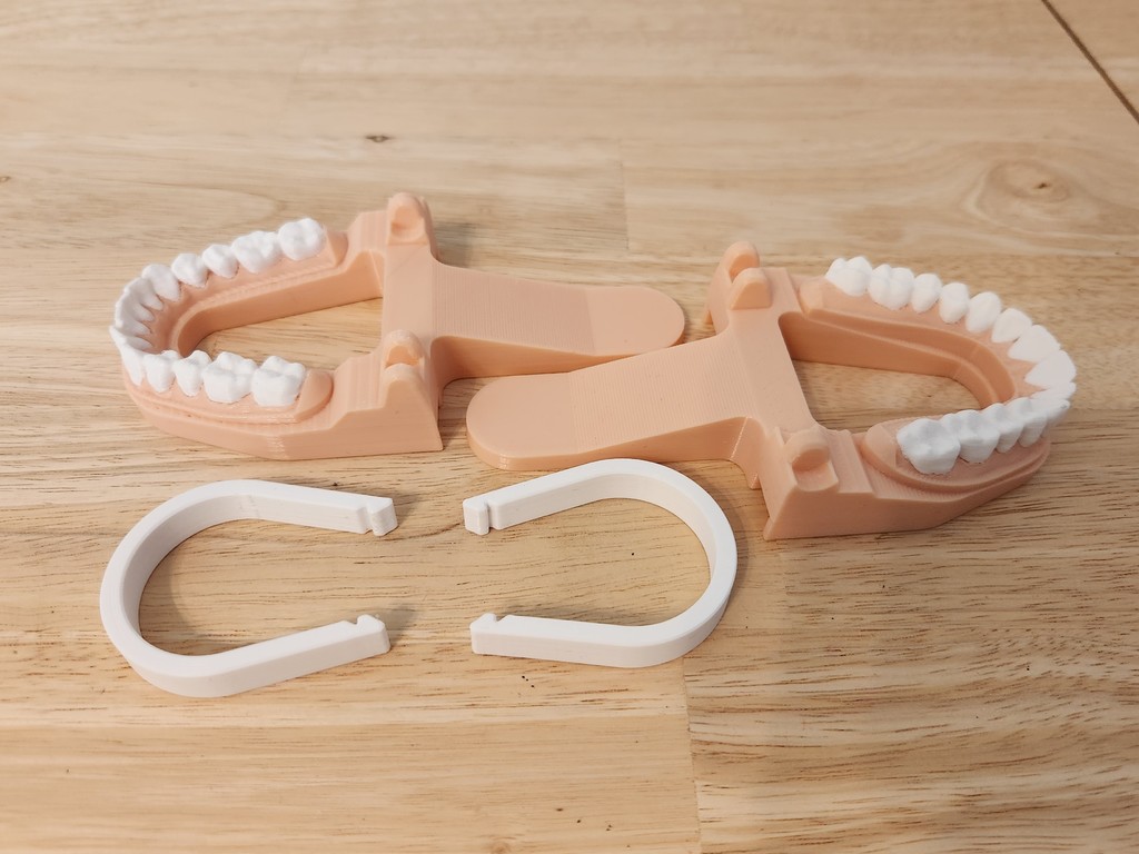 Mouth Chip Clip from 3D Scan of Teeth by sj3Dprints | Download free STL ...