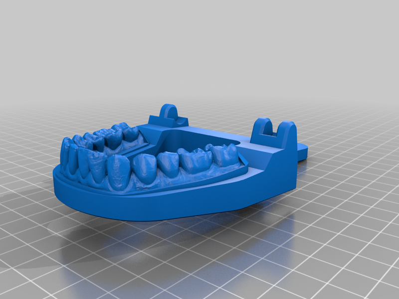 Mouth Chip Clip from 3D Scan of Teeth by sj3Dprints | Download free STL ...