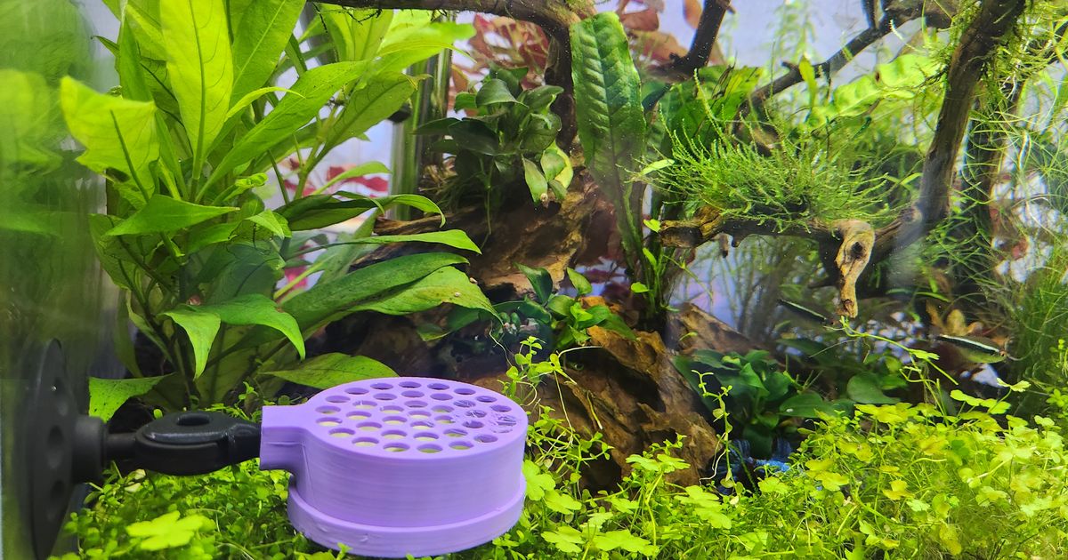 Cucumber Snail Trap Suction Cup Mount by Hunter Greene | Download free ...