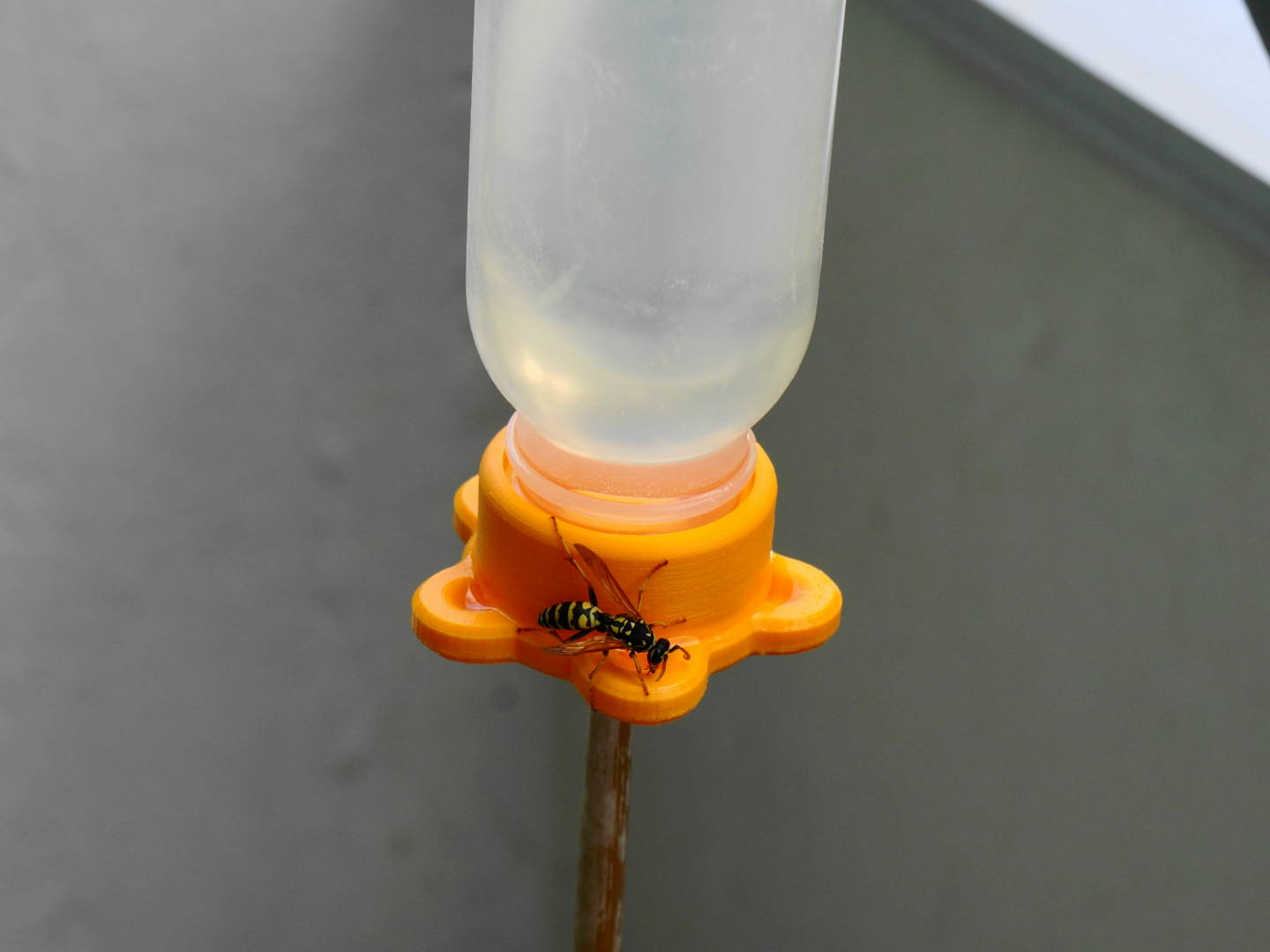Flower Feeder for Insects by Jack | Download free STL model ...