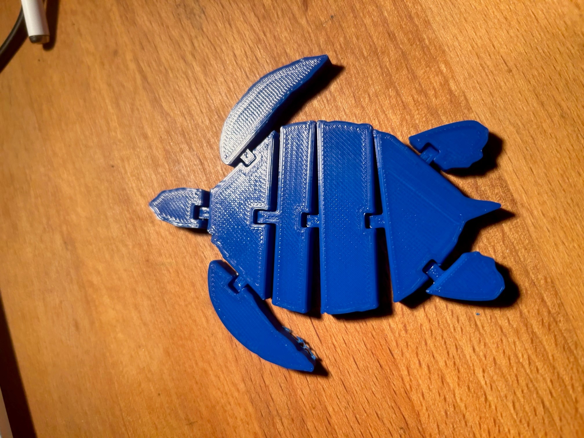 Flexi Turtle by Alfd246 | Download free STL model | Printables.com