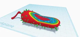 Cell Model by SorryNotSorry | Download free STL model | Printables.com