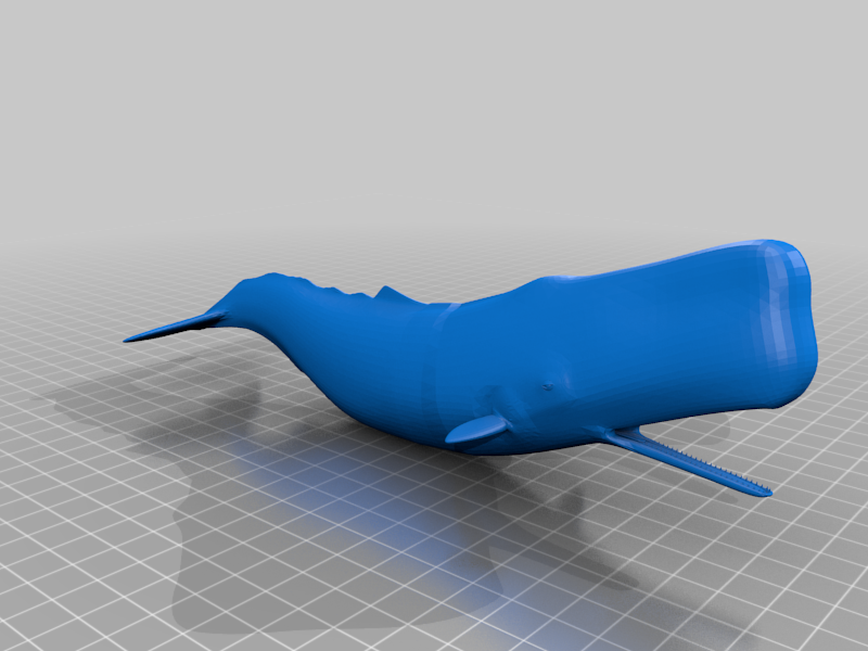 Sperm Whale od autora KN16 | Stáhněte si zdarma STL model | Printables.com