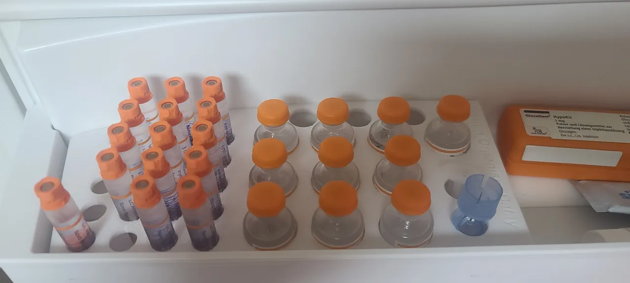 Insulin Fridge Vial Organiser Balay by beyondArtism | Download free STL ...