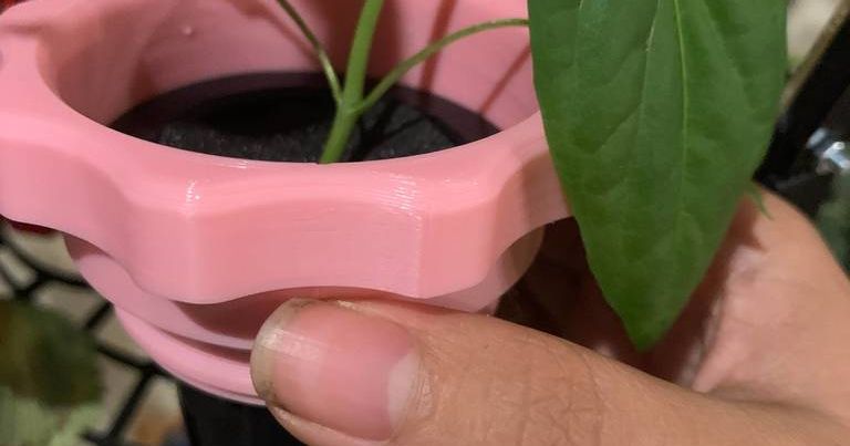 Hydroponics net cup adapter by Potatosaurus | Download free STL model ...