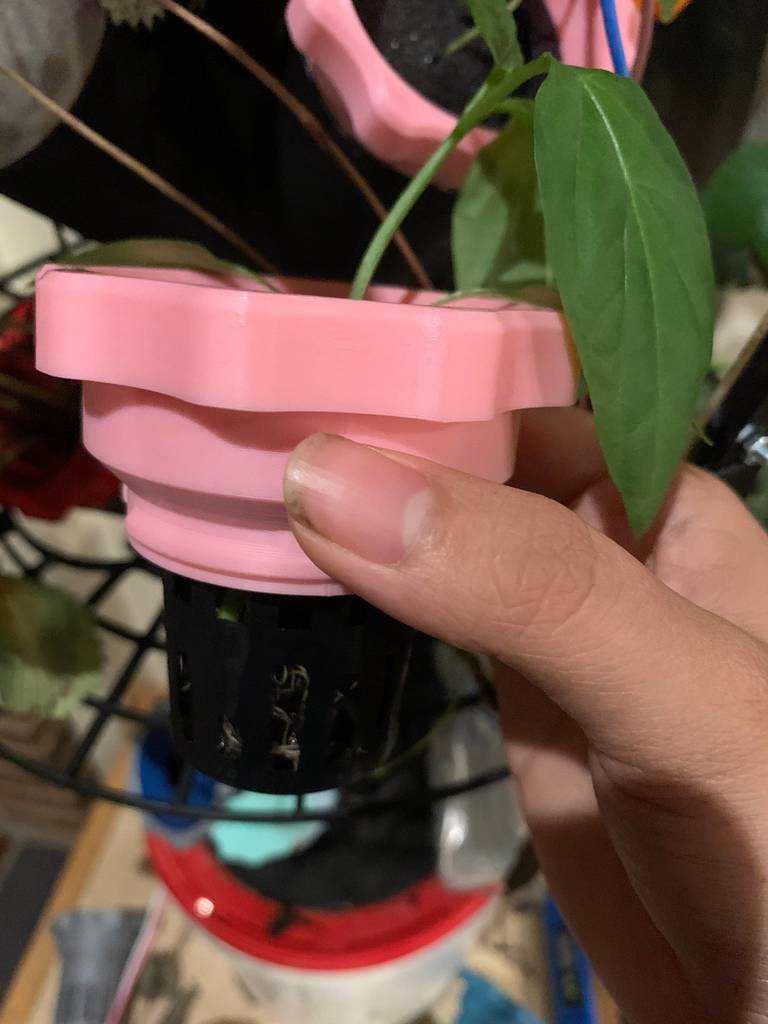 Hydroponics net cup adapter by Potatosaurus | Download free STL model ...