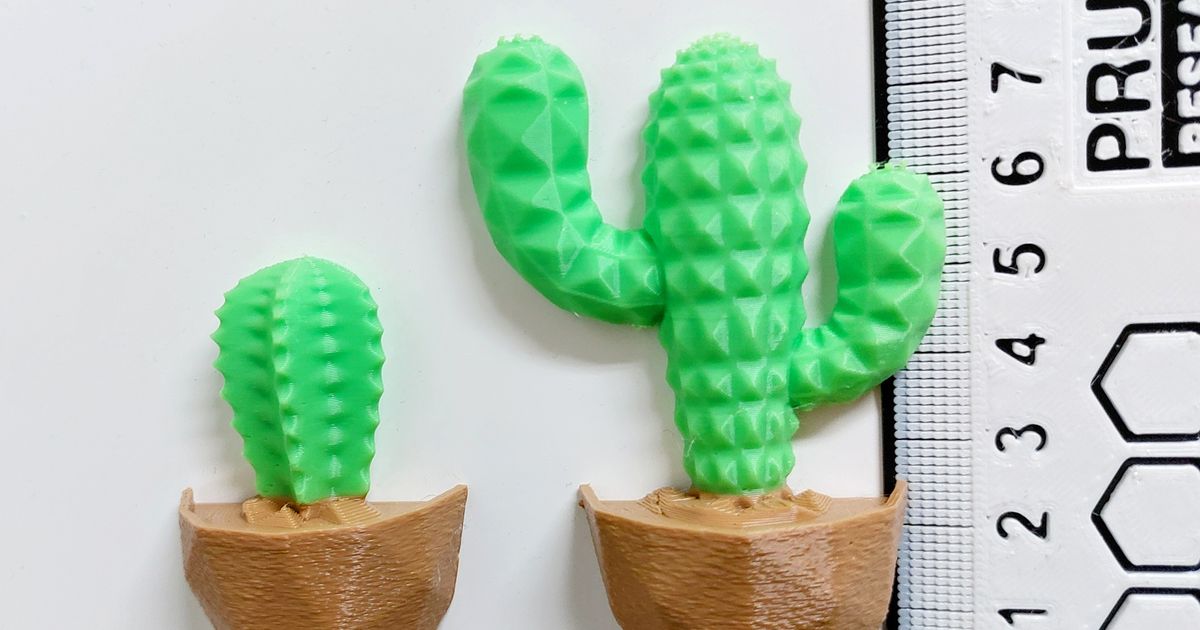 Cactus refrigerator magnet (Succulent collection fridge magnets) by Den ...