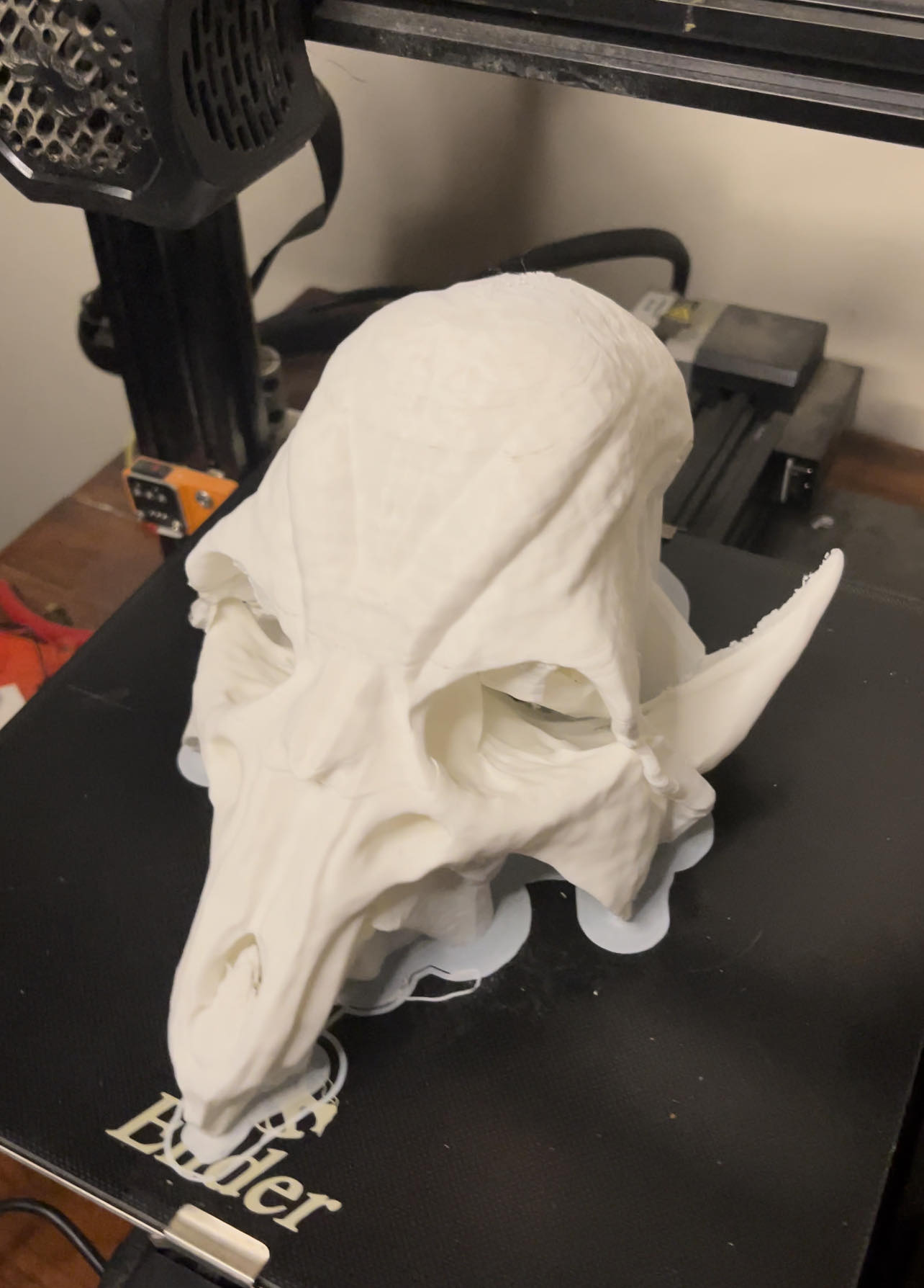 ALIEN SKULL by KILLA619 | Download free STL model | Printables.com