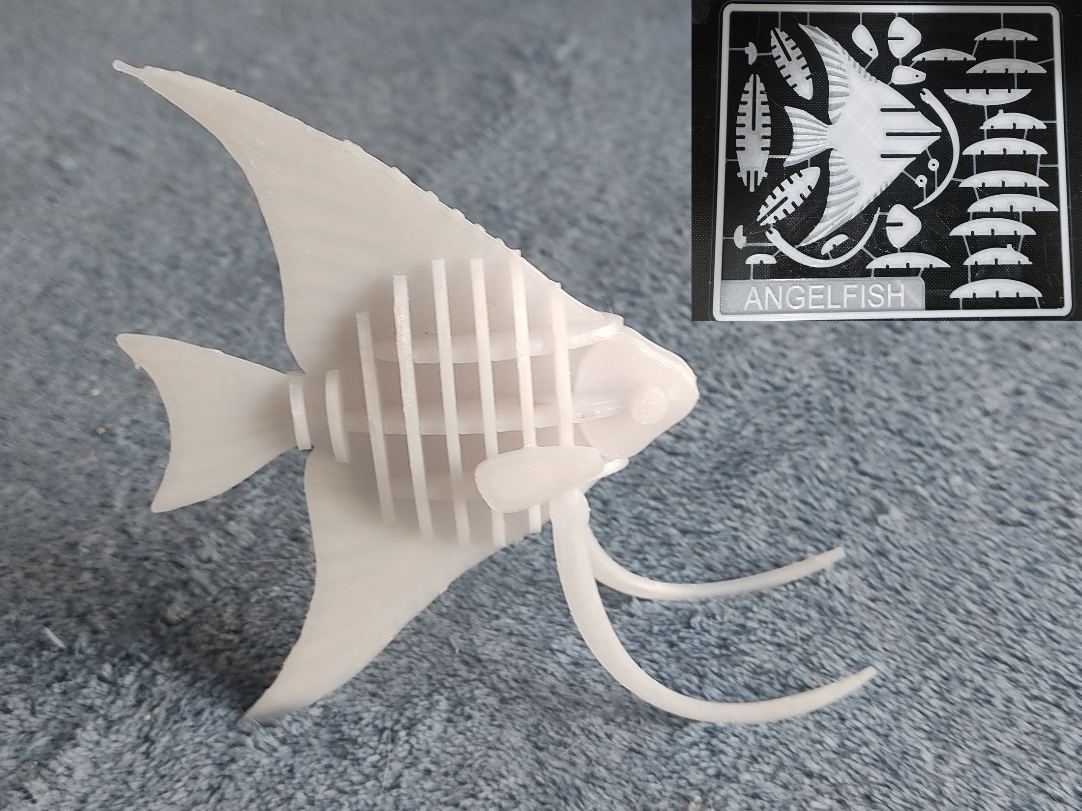 Angel fish kit card por A2S_dESING | Descargar modelo STL gratuito ...