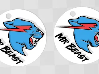 Mr. Beast Keychain by herkail Çakal | Download free STL model ...