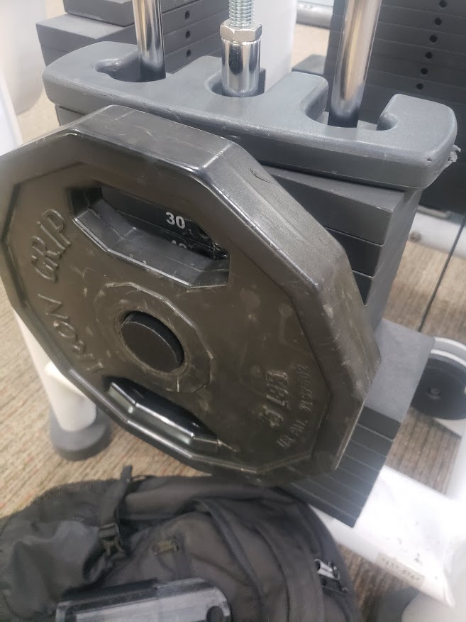 Weight Stack Gym Pin by Hakon | Download free STL model | Printables.com