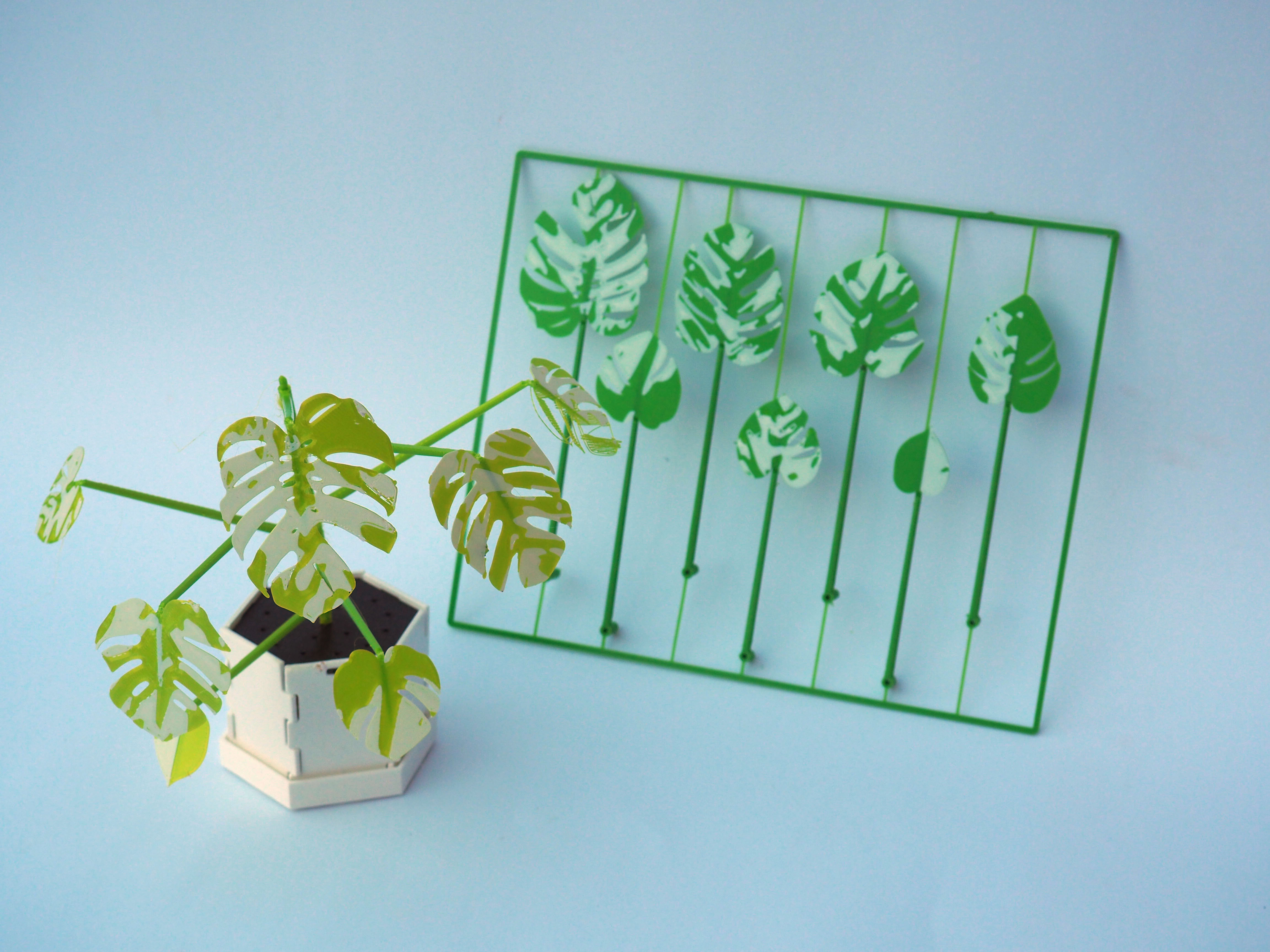 Immortal Monstera Variegata Kit Card by Ania Kompa | Download free STL ...