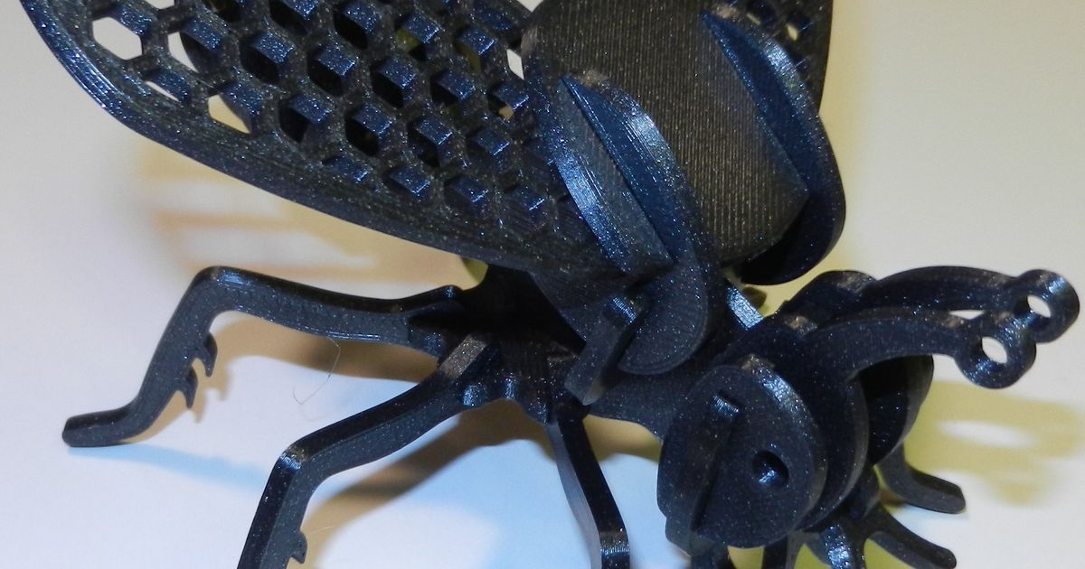 Fly_Card by RickayLee | Download free STL model | Printables.com