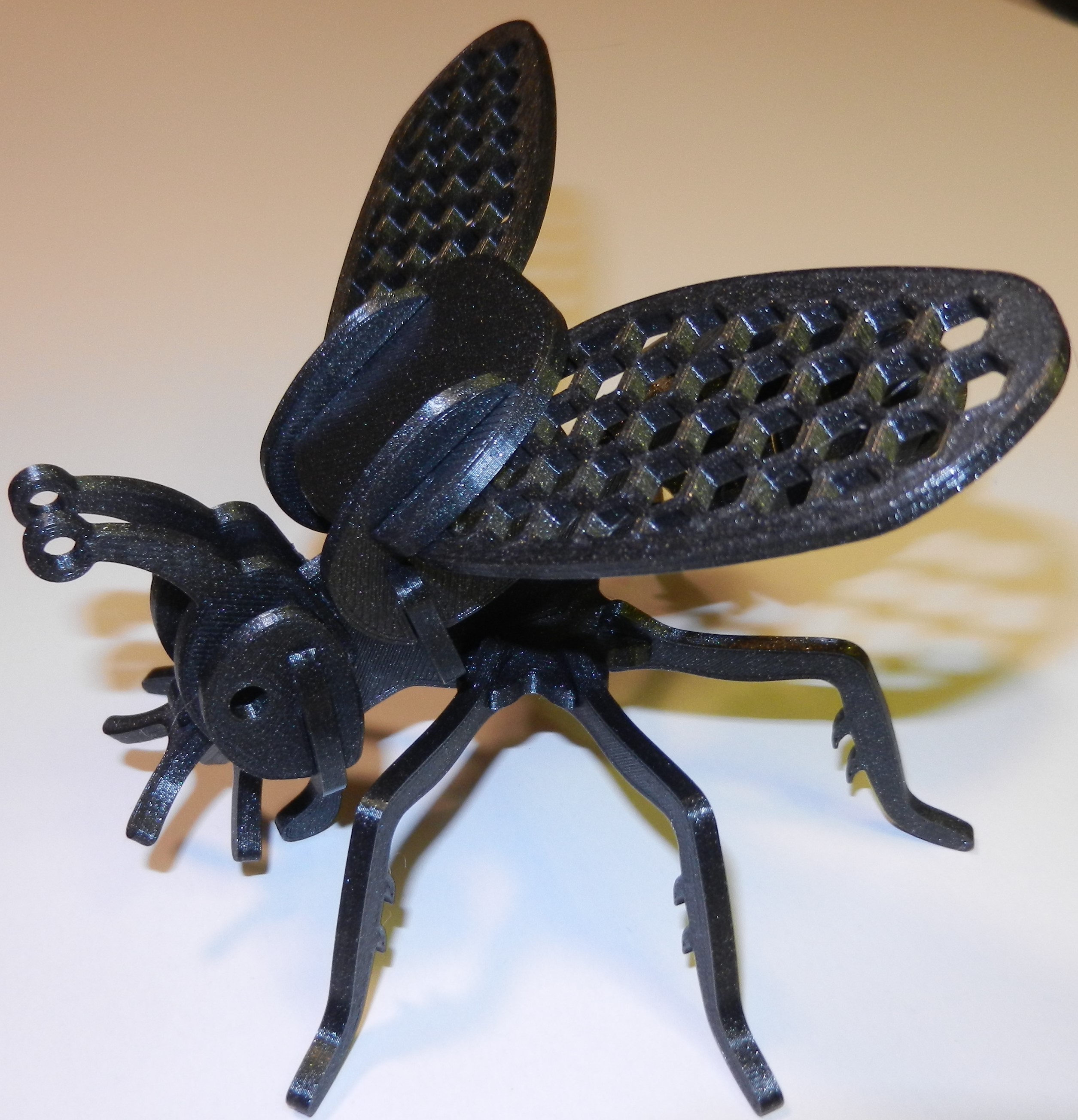 Fly_Card by RickayLee | Download free STL model | Printables.com