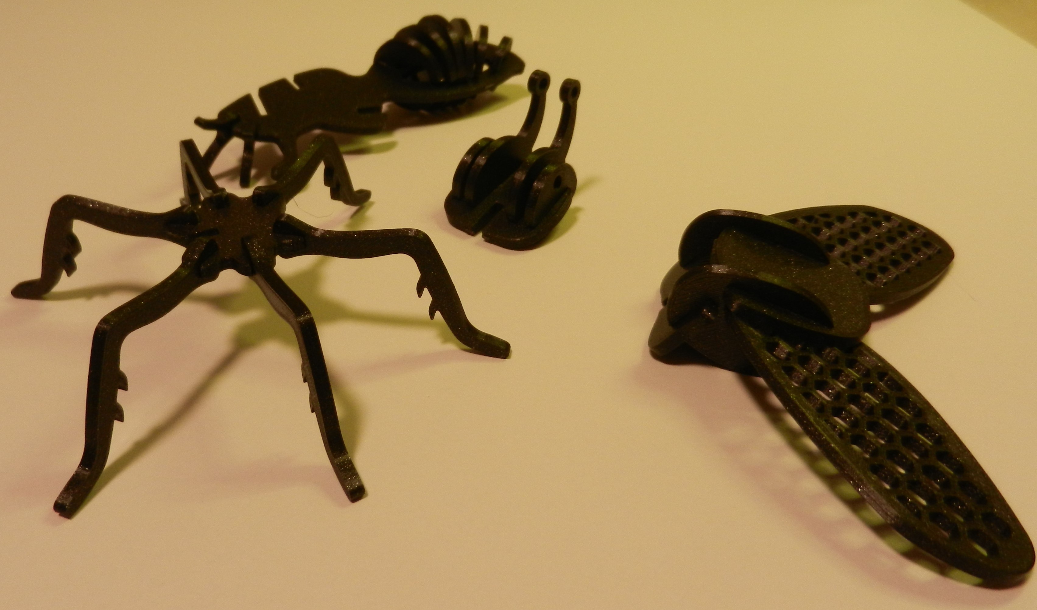 Fly_Card by RickayLee | Download free STL model | Printables.com