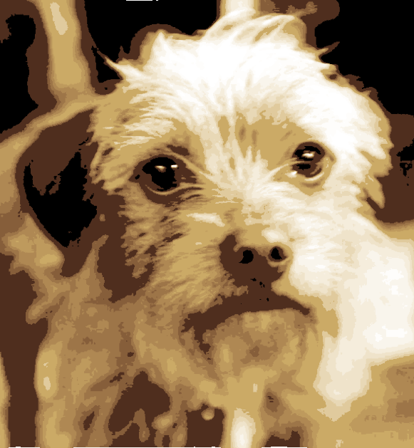 Archer - World's Best Dog - HueForge by Robert John Churchill ...