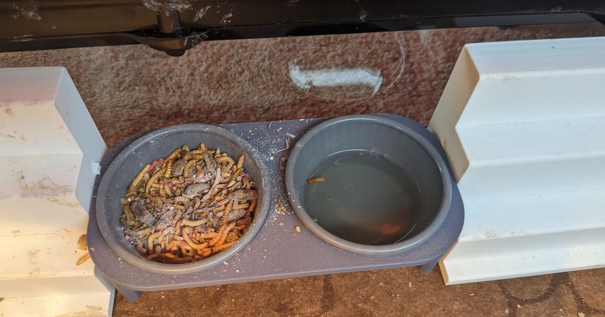 Double Reptile Bowl Holder by dyeLucky | Download free STL model ...