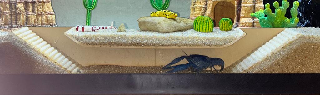 Fish Tank Tunnel by kfernald | Download free STL model | Printables.com