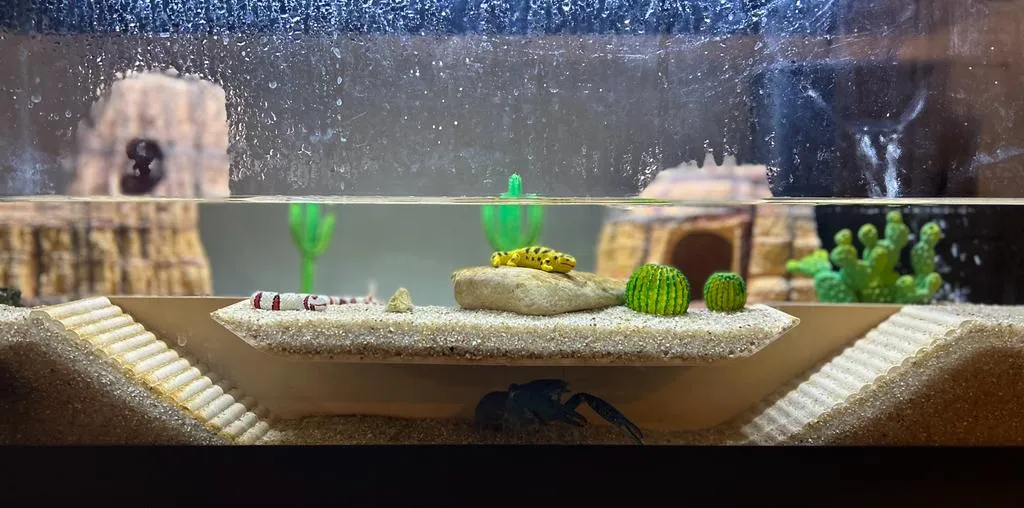 Fish Tank Tunnel by kfernald | Download free STL model | Printables.com