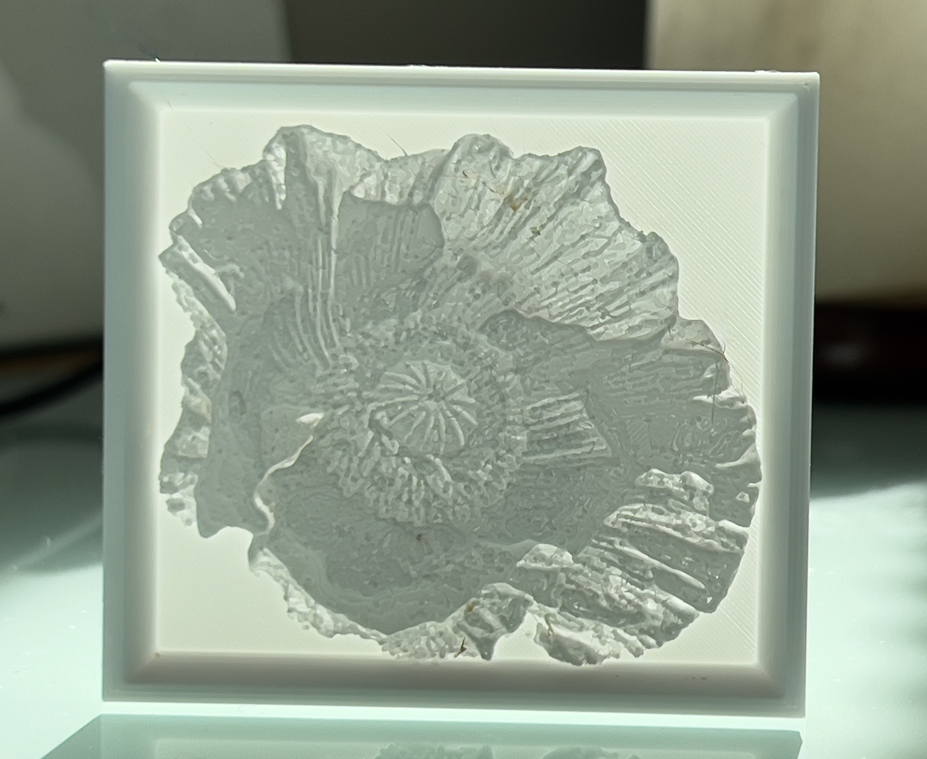 print flat lithophane por PeterT | Descargar modelo STL gratuito ...