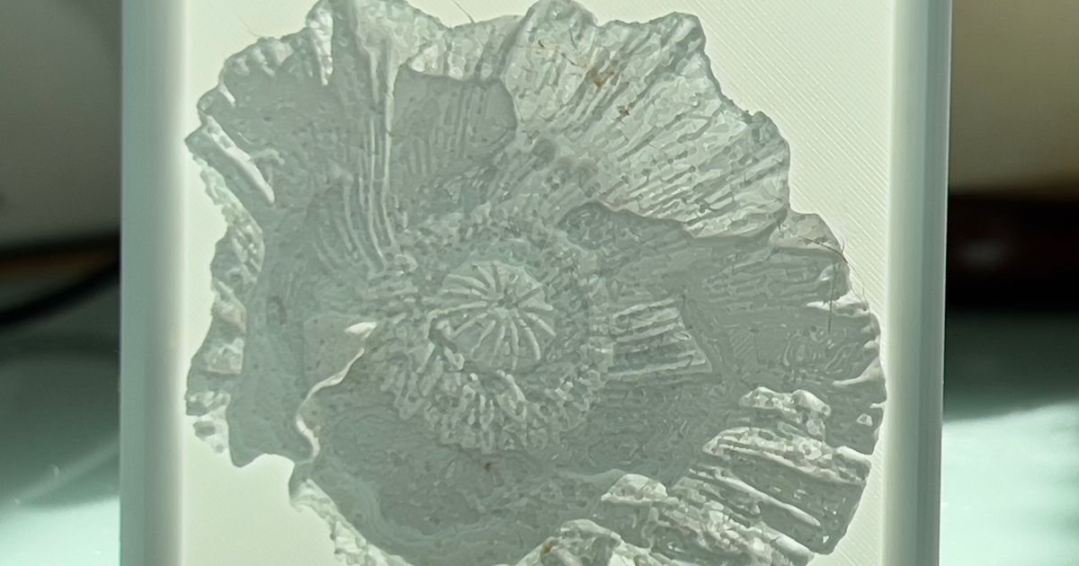 print flat lithophane por PeterT | Descargar modelo STL gratuito ...