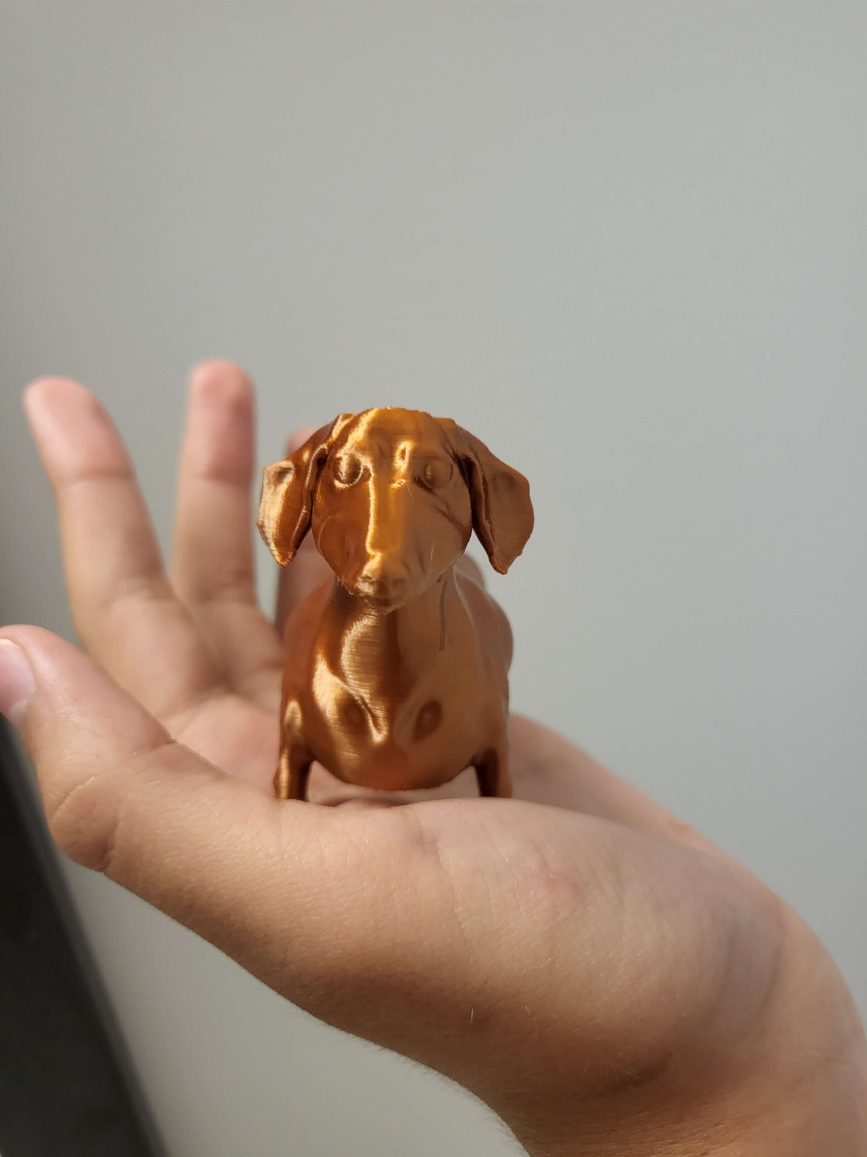 Dachshund/wiener dog 3d model by HaslenPrints | Download free STL model ...